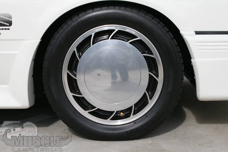 White Pointer 1 of 200!