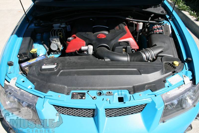 1 of 7 Maloo's in Turismo!