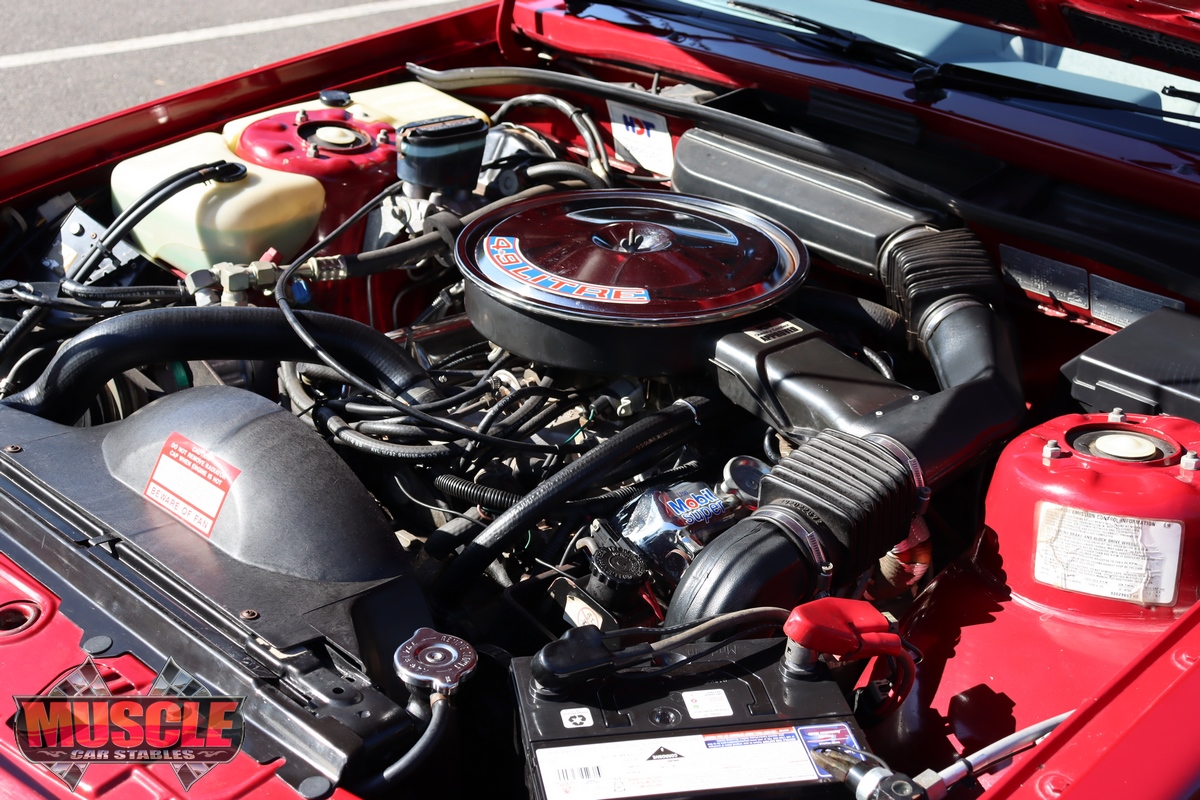 1986 HDT VL SS Group A