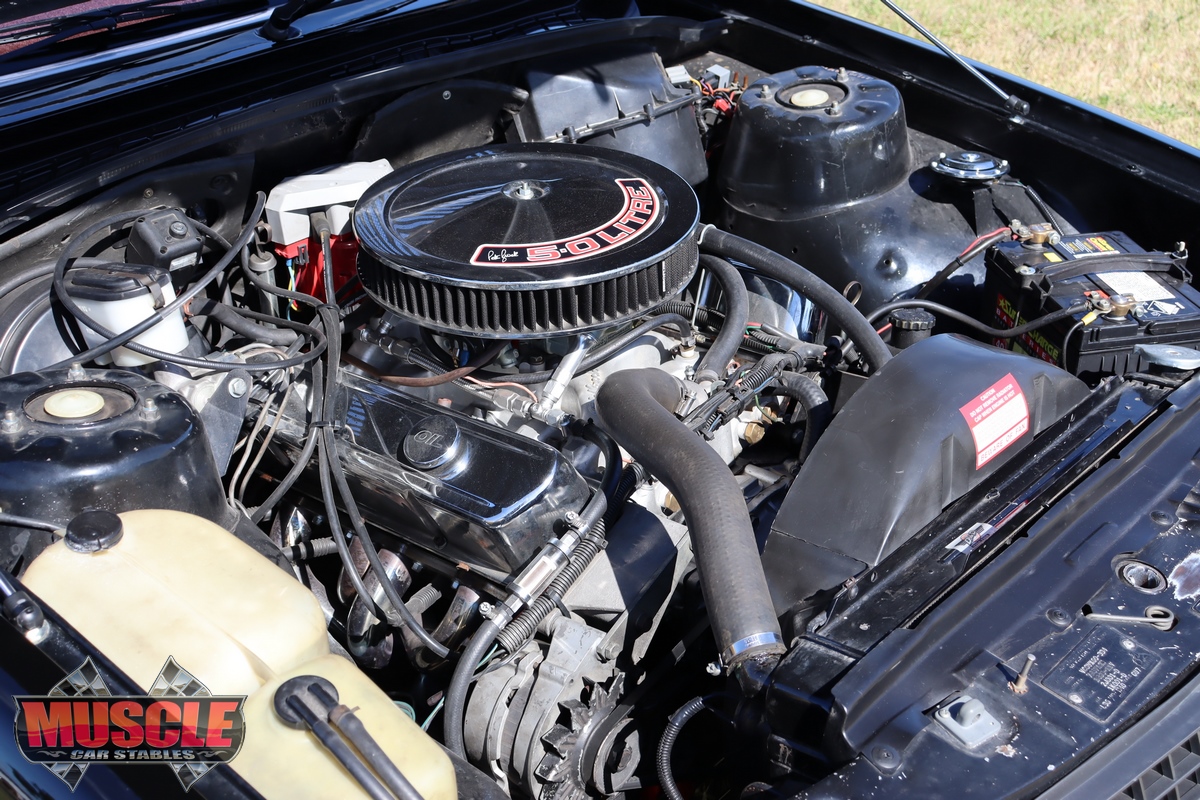 1981 HDT VC - Tuxedo Black Replica